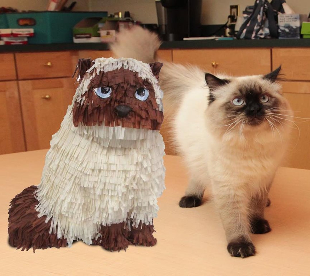 Custom Cat Pinata Perfectly Playful Fun for Feline Enthusiasts of All ...