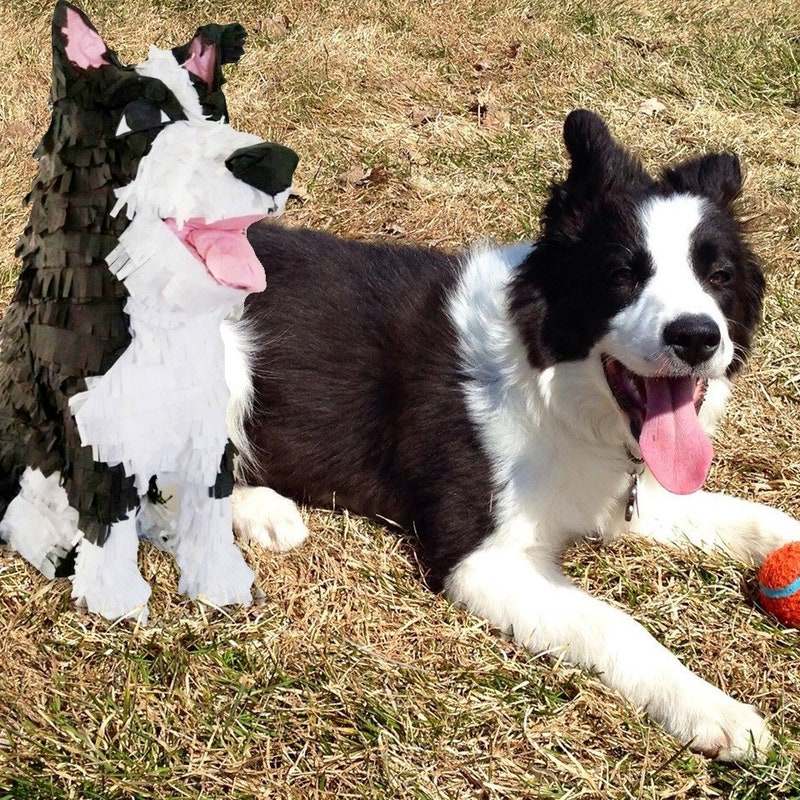 Dog Pinata - Etsy