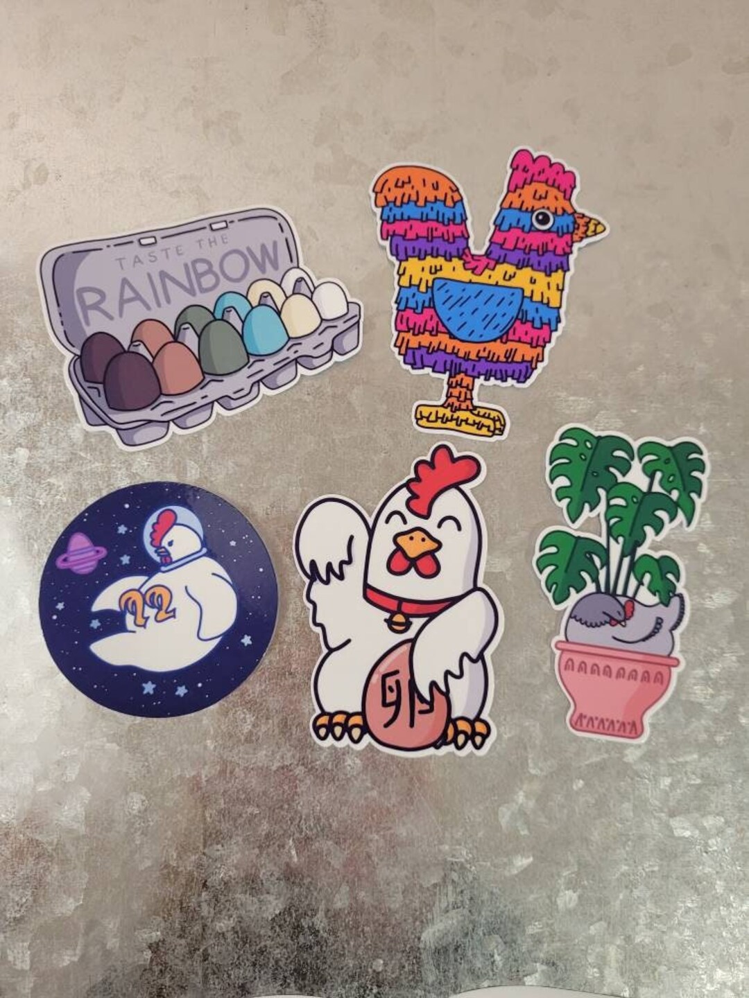 Set of Five Stickers, Chicken Sticker Set, Waterproof Vinyl Decal ...