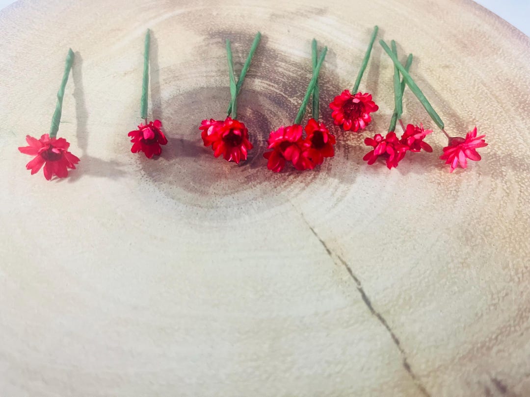 Set of 10 - Small Red Star Flower Hair Picks, White Flower Hair Picks ...