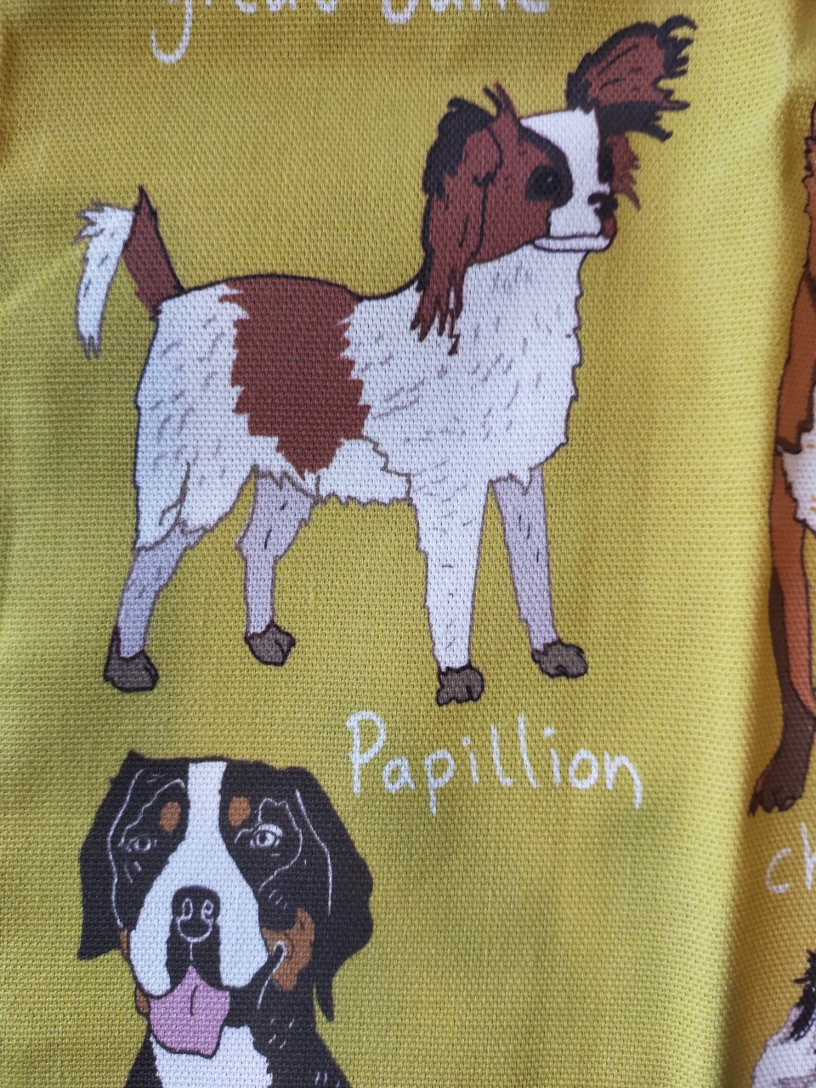 Dog Tea Towel. Hand Drawn Illustrations of Dogs to Identify Different ...