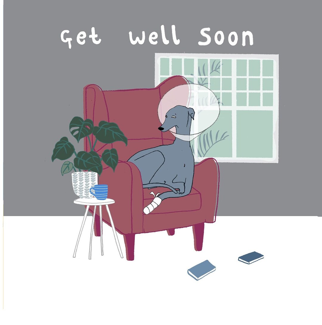 Get Well Soon Whippet - Etsy