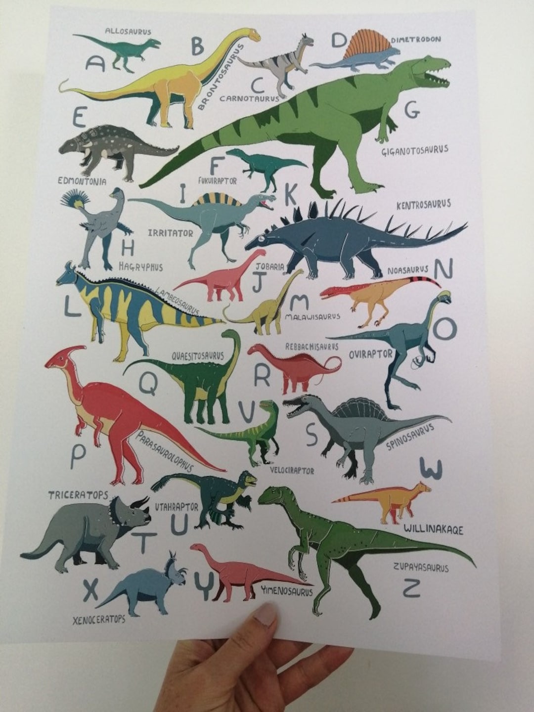 A3 Dinosaur Alphabet Illustrated Print - Etsy