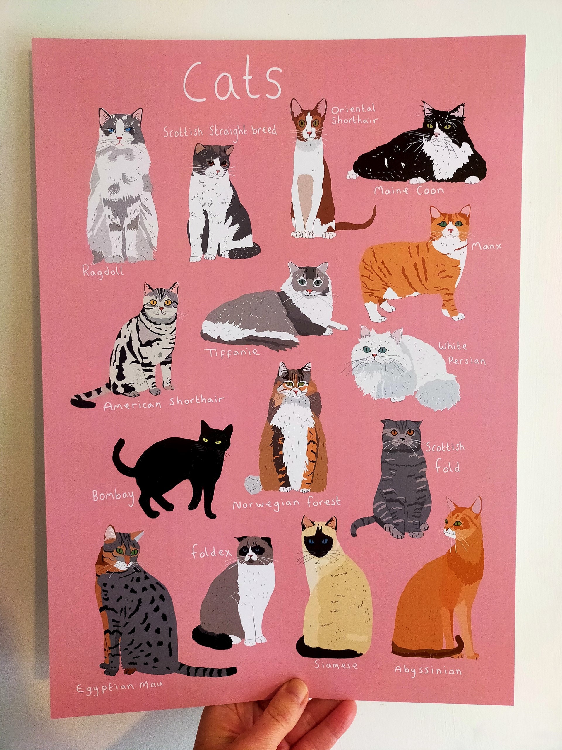 Illustrated Cat Print - Etsy UK
