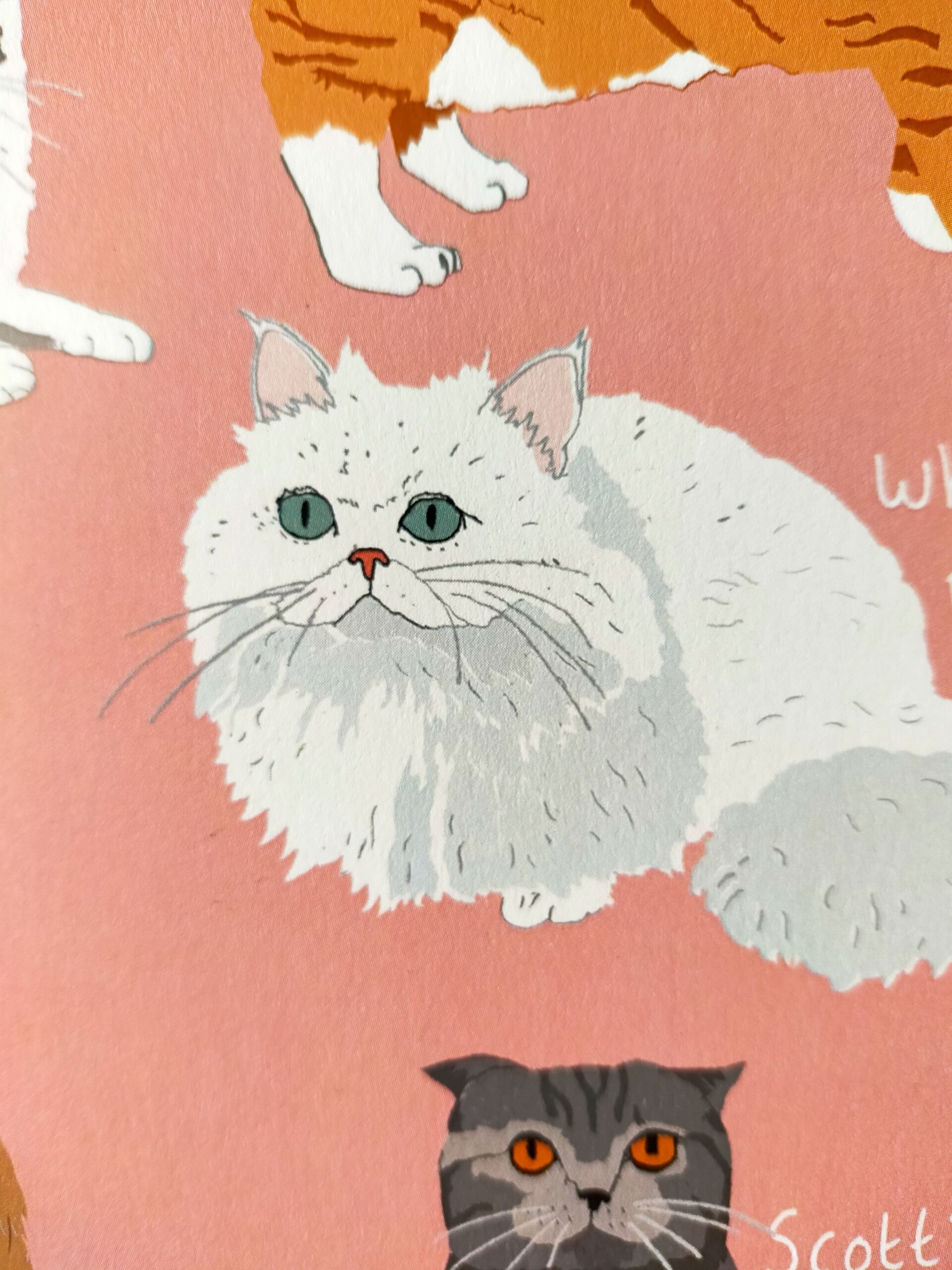 Illustrated Cat Print - Etsy