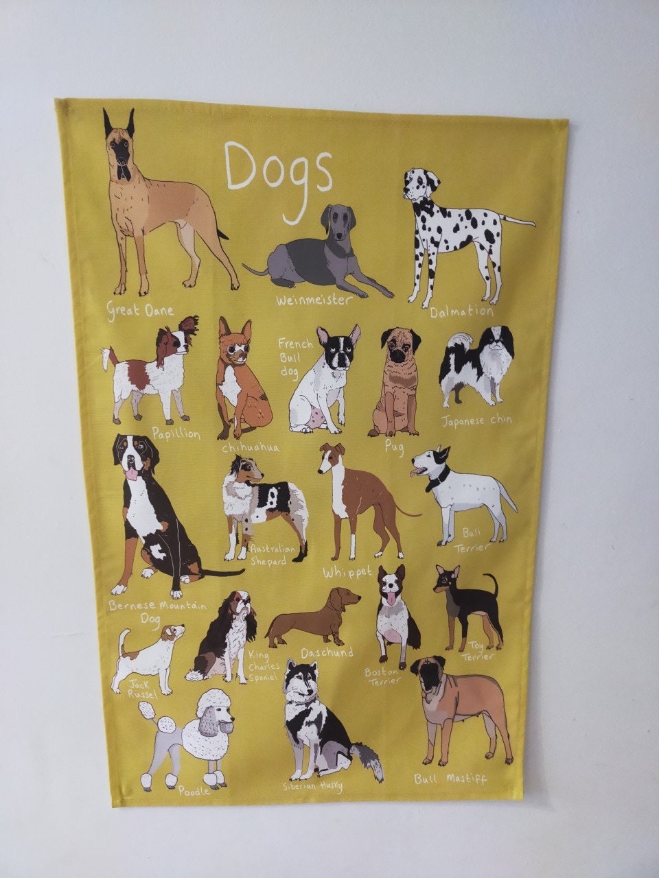 Dog Tea Towel. Hand Drawn Illustrations of Dogs to Identify Different ...