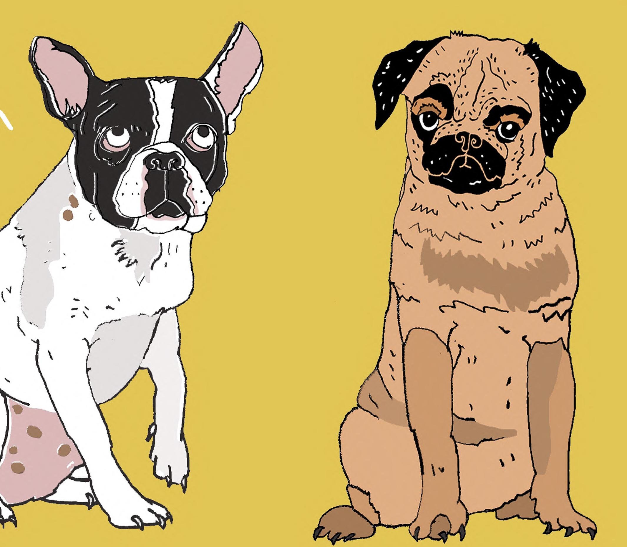 Illustrated Dog Print A3 - Etsy