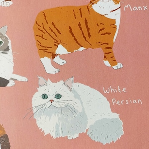 Illustrated Cat Print - Etsy