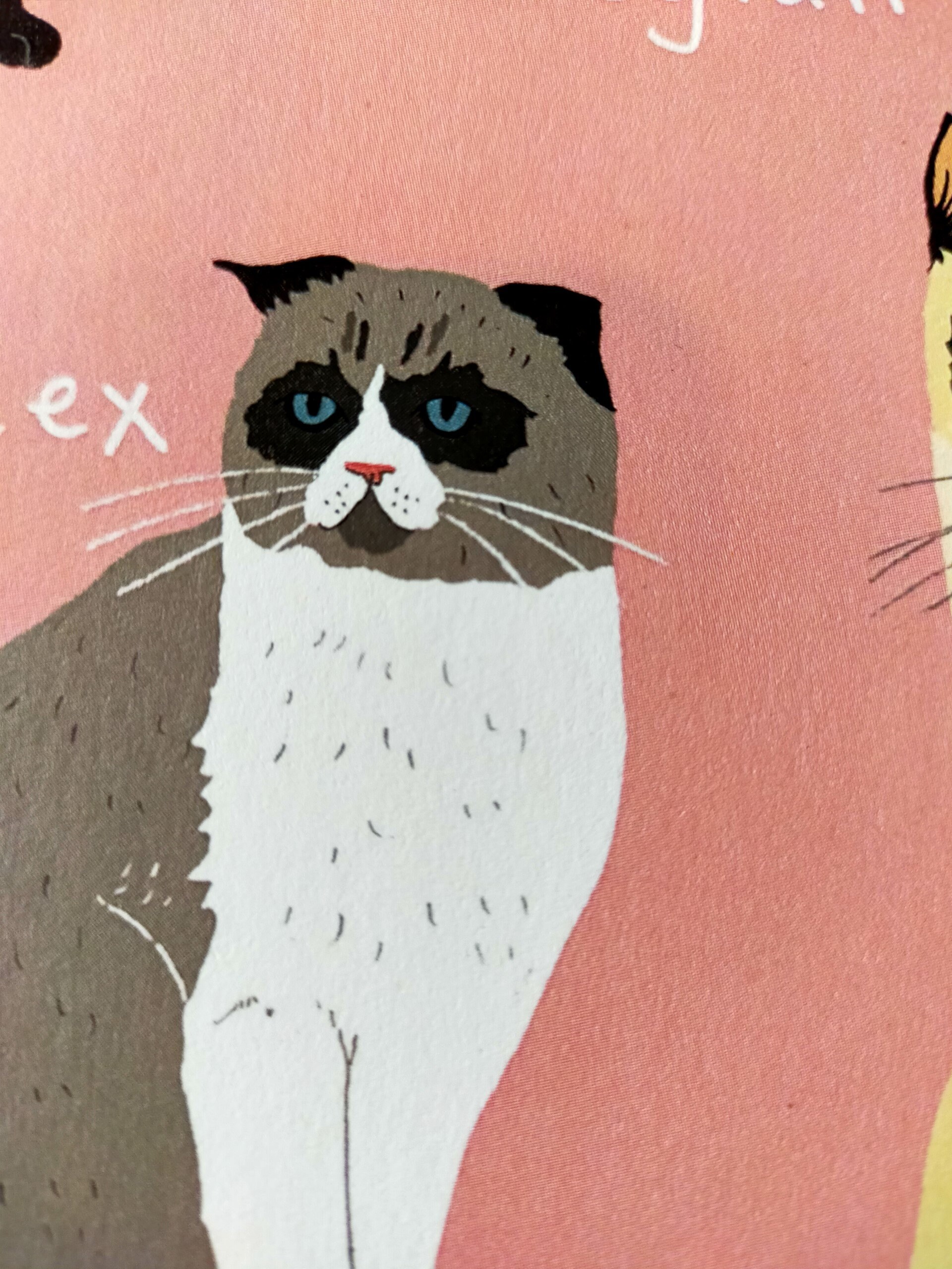 Illustrated Cat Print - Etsy