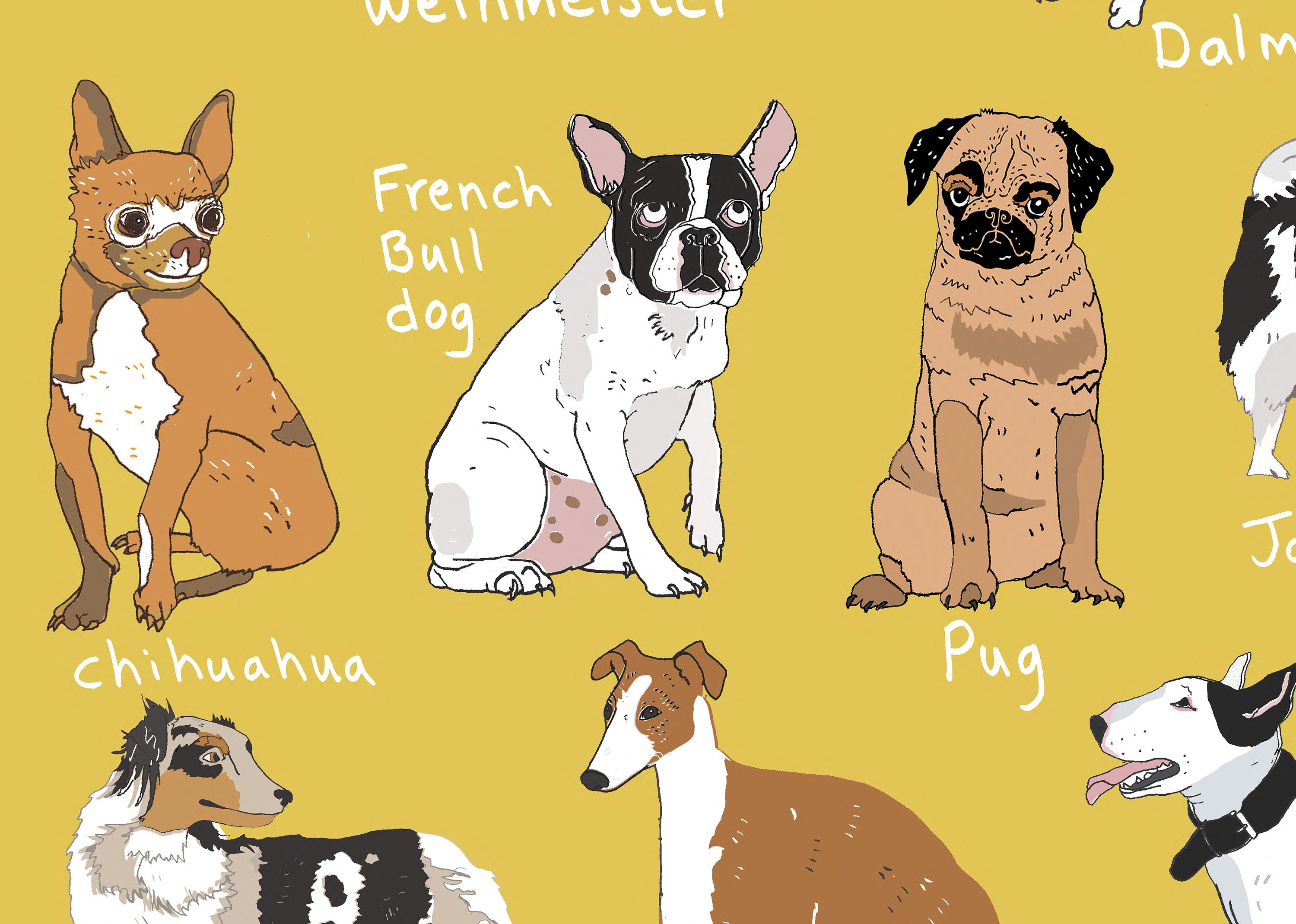 Illustrated Dog Print A3 - Etsy