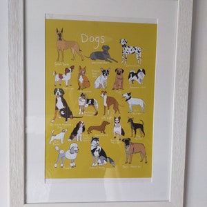 Illustrated Dog Print A3 - Etsy
