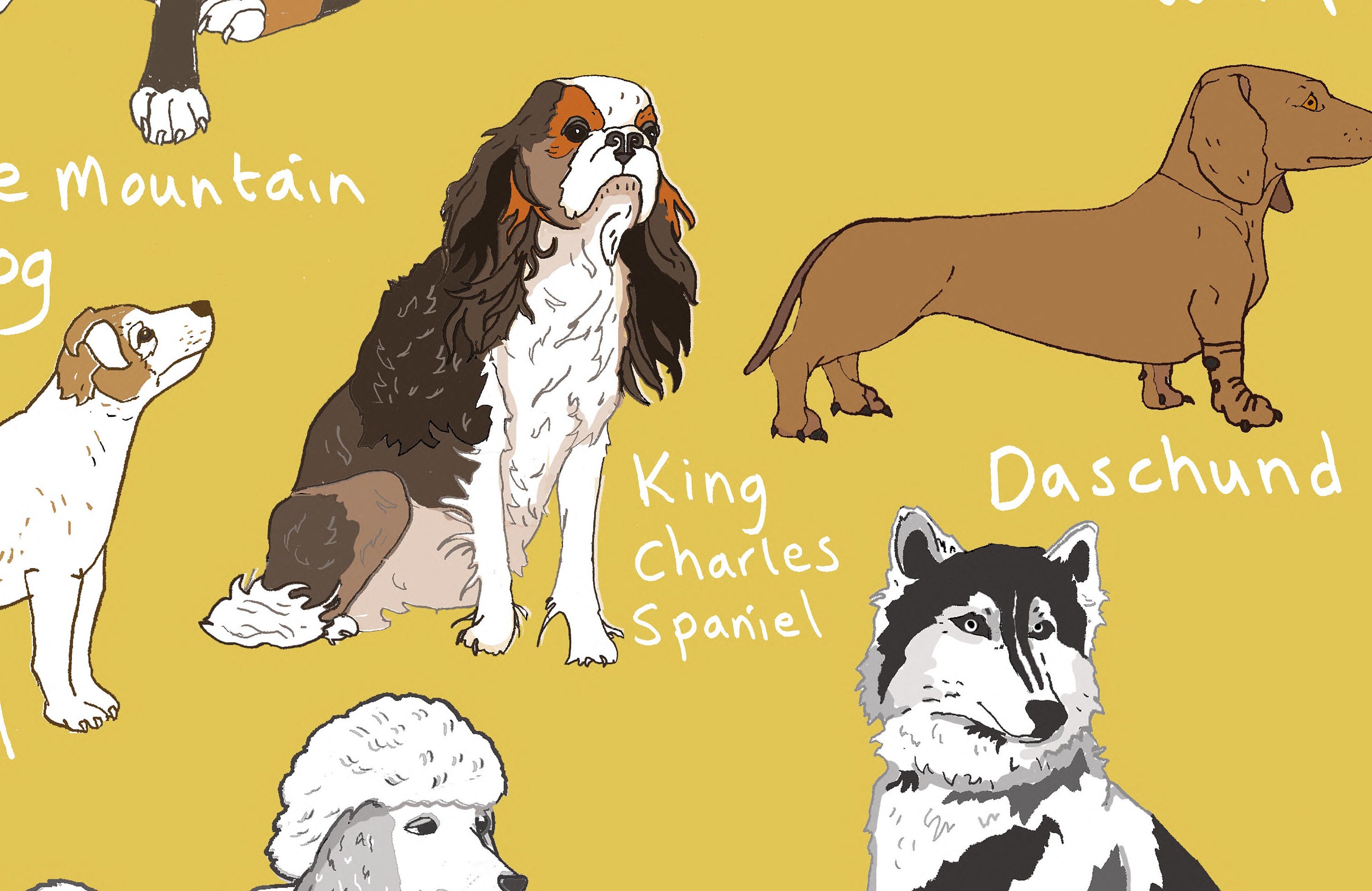 Illustrated Dog Print A3 - Etsy