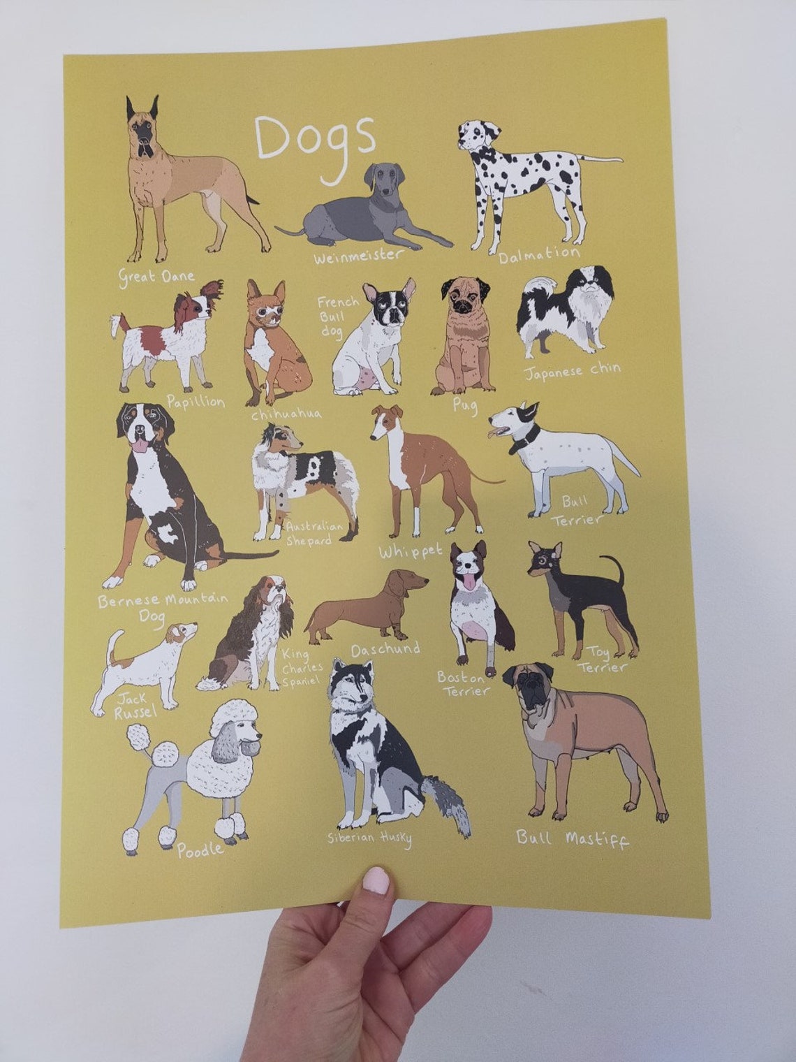 Illustrated Dog Print A3 - Etsy