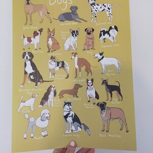 Illustrated Dog Print A3 - Etsy