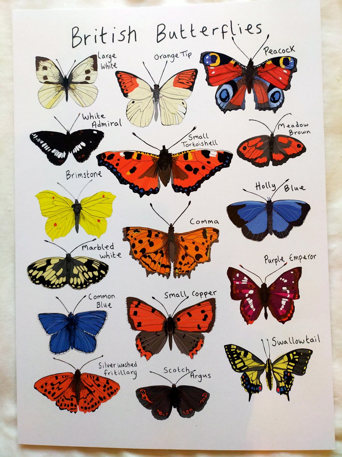 British Butterflies Print - Etsy UK