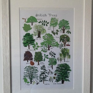 A3 British Trees Print - Etsy UK