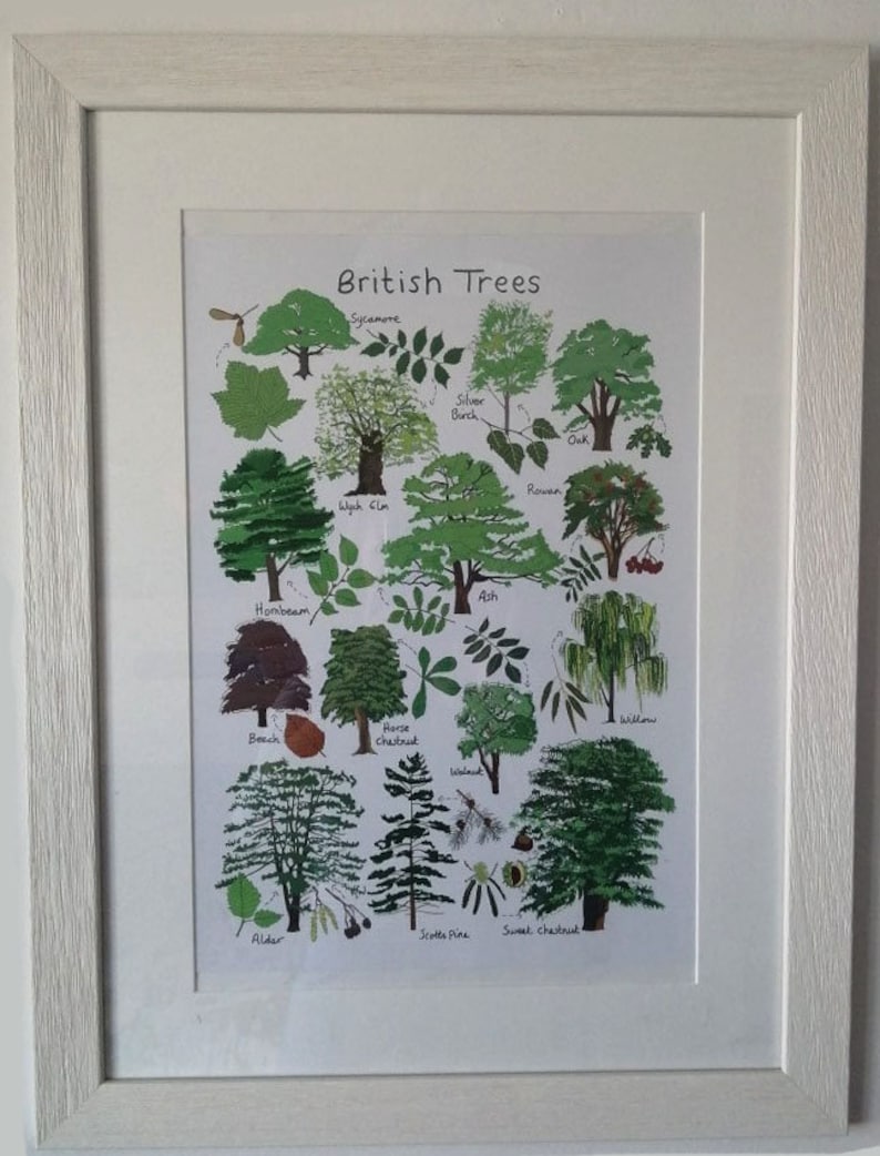 A3 British Trees Print - Etsy UK