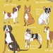 Illustrated Dog Print A3 - Etsy