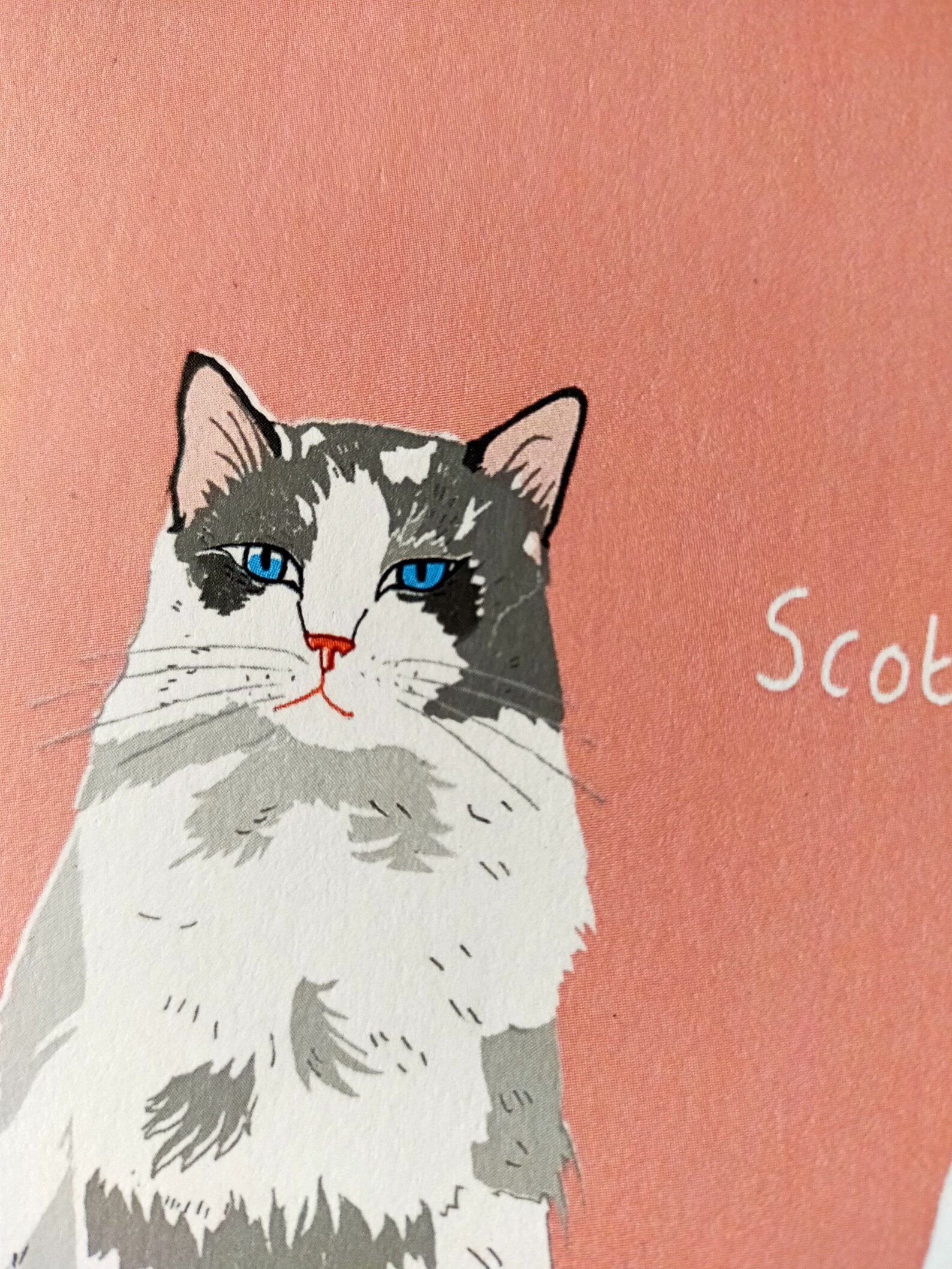 Illustrated Cat Print - Etsy UK