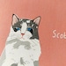 Illustrated Cat Print - Etsy UK