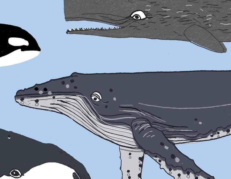 A3 Illustrated Whales Print - Etsy