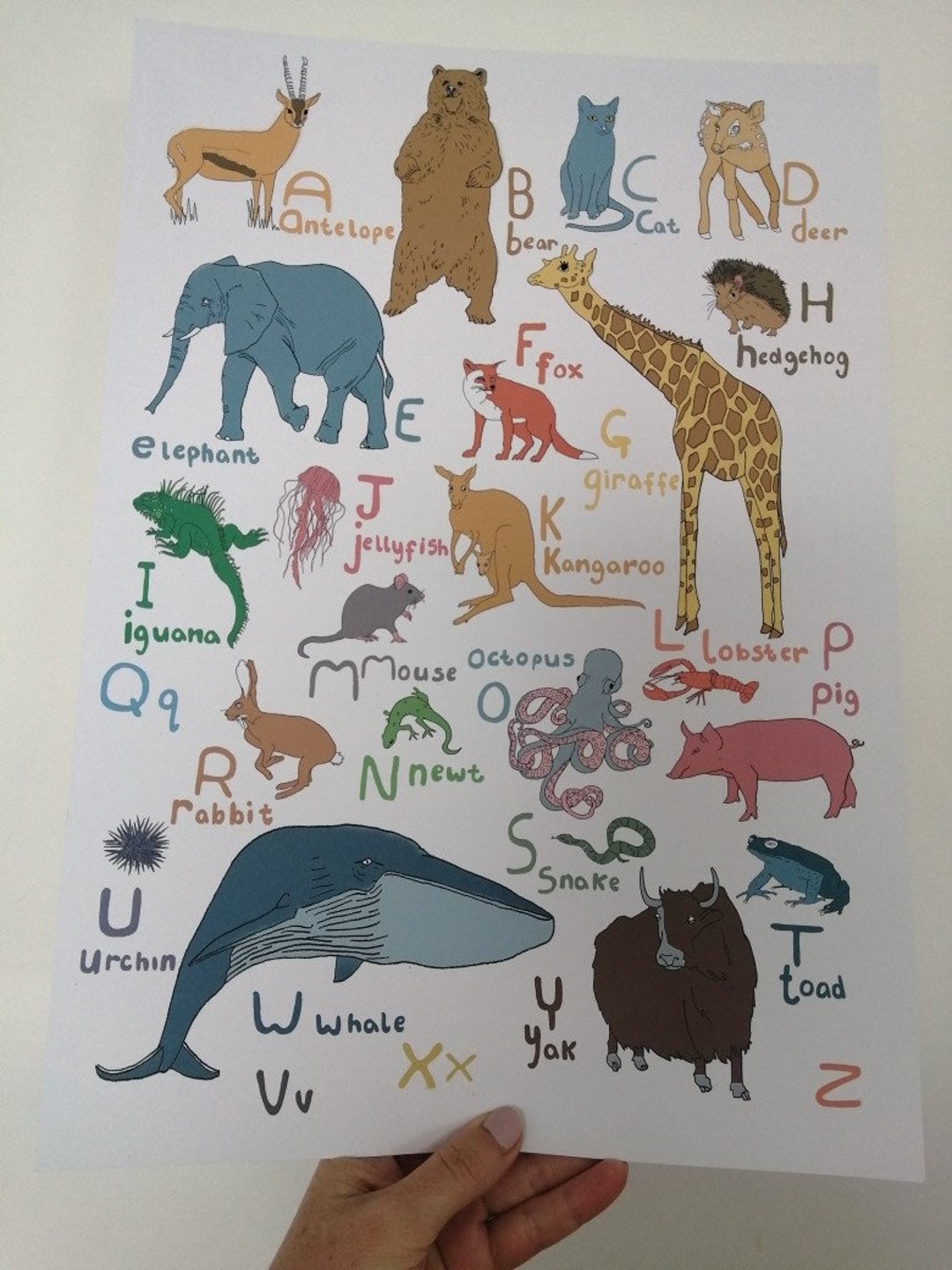 A3 Animal Alphabet Print - Etsy