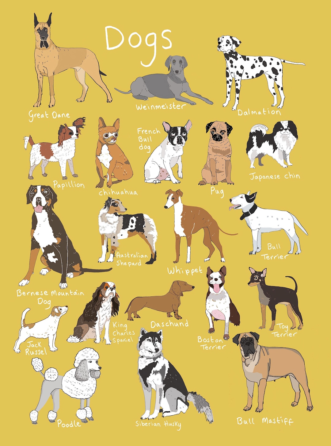 Illustrated Dog Print A3 - Etsy