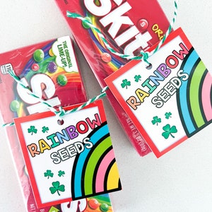 St. Patrick's Day lucky Care Package Gift, College Package, Lucky Charm ...