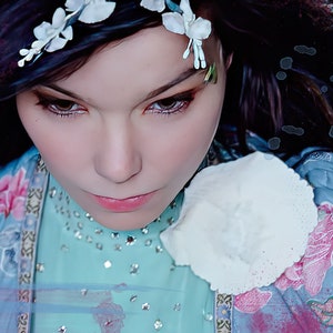 Bjork Fine Art Print - Pop Art - Bjork Portrait - - Etsy UK