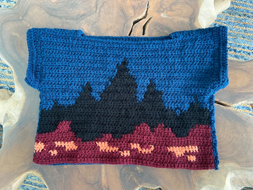 Handmade Punisher by Phoebe Bridgers Crochet Top - Etsy