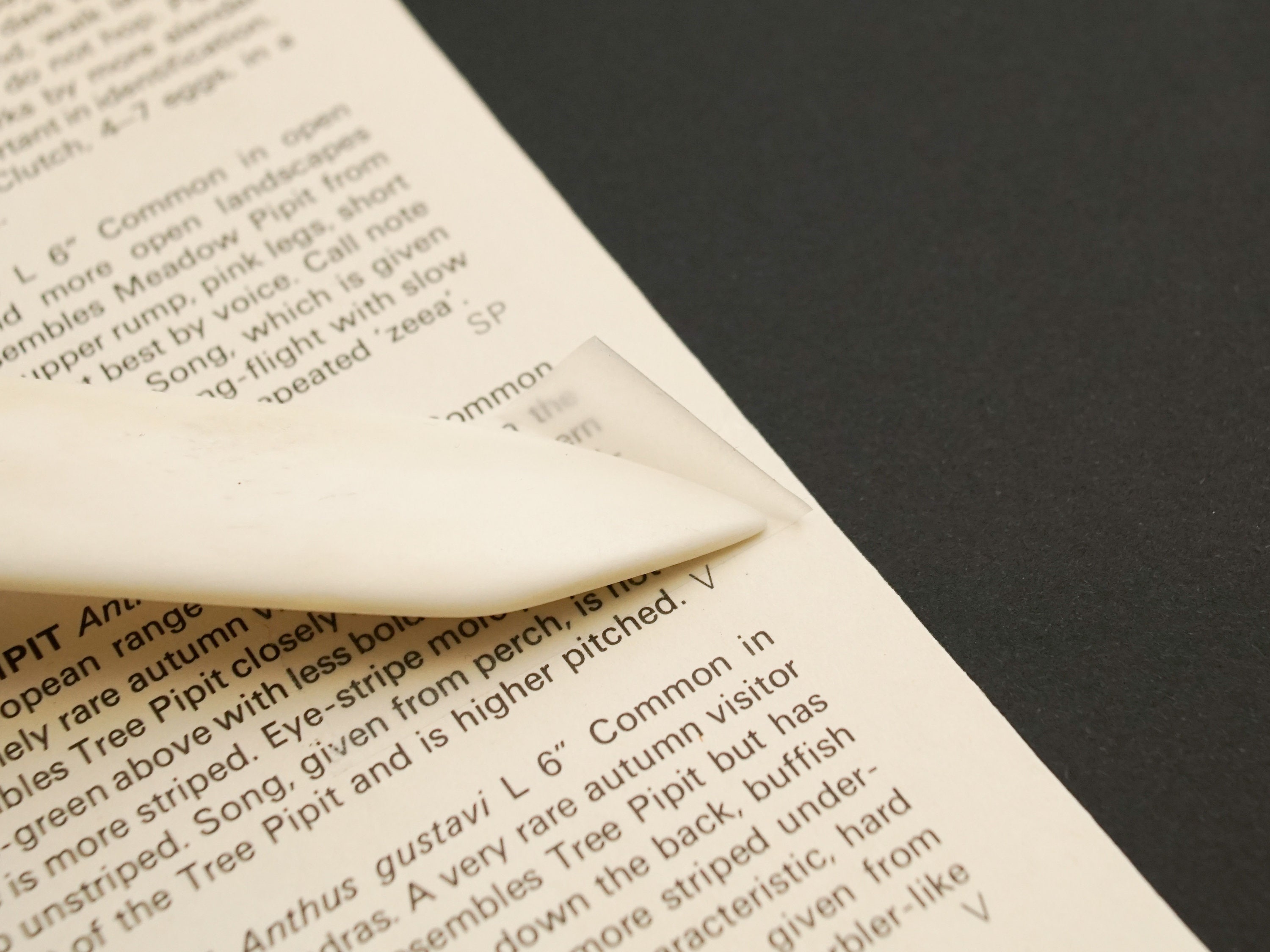 Neschen Filmoplast P Paper Repair Tape Ultra-thin Book Conservation 50m ...