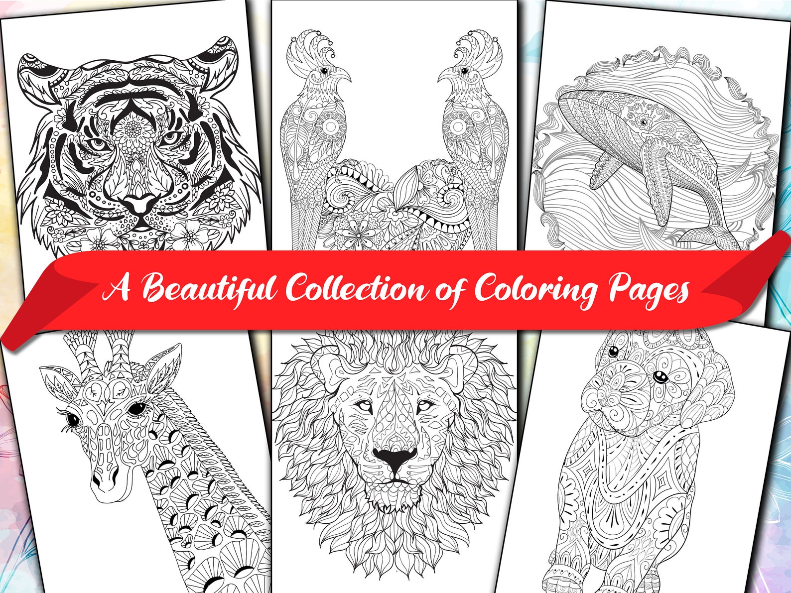 100 Animals: an Adult Coloring Book With 100 Beautiful Animal - Etsy