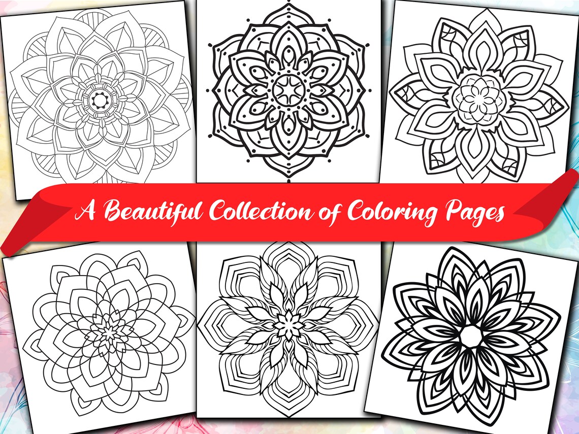 100 Easy Mandalas: an Adult Coloring Book With More Than 100 | Etsy