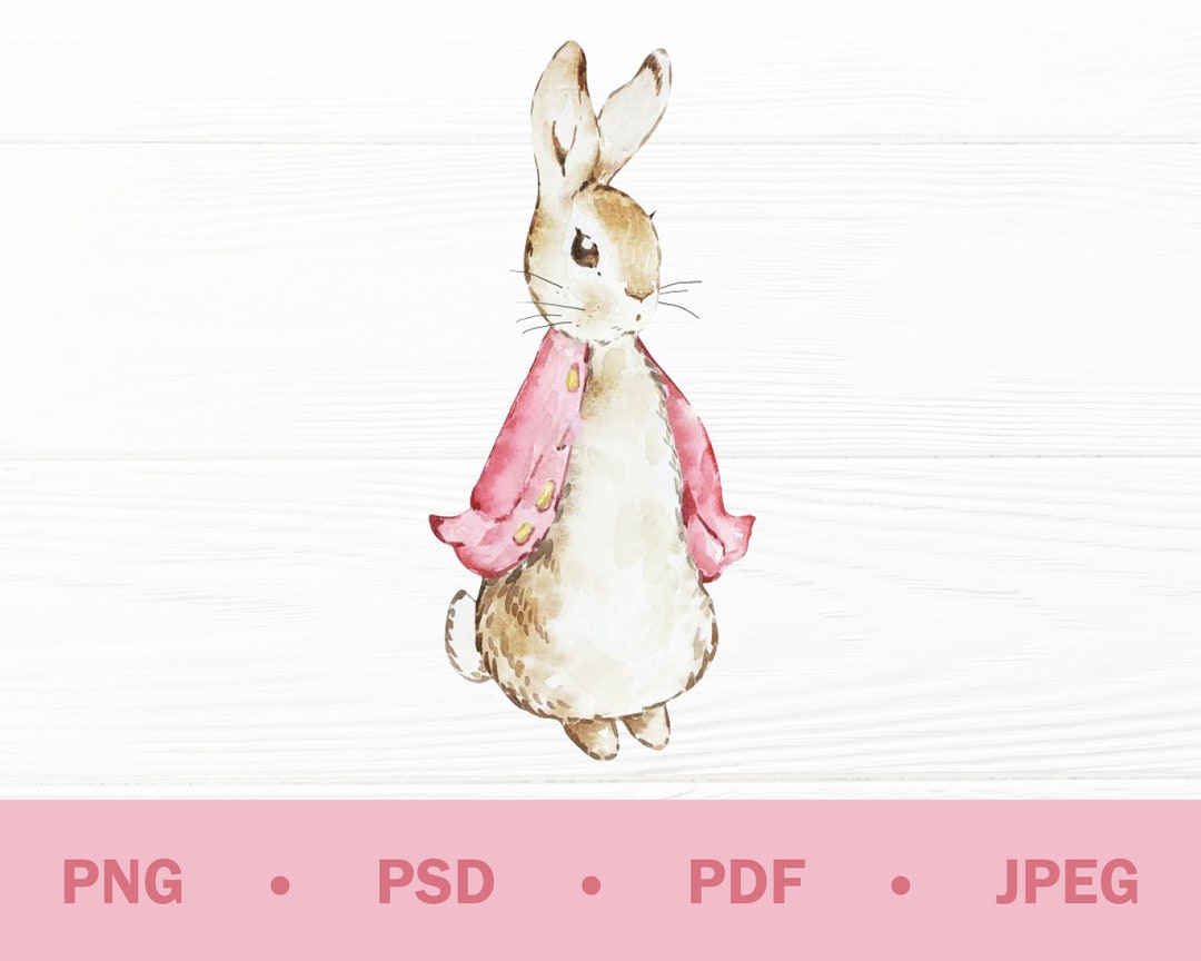 Flopsy Bunny With Transparent Background - Etsy