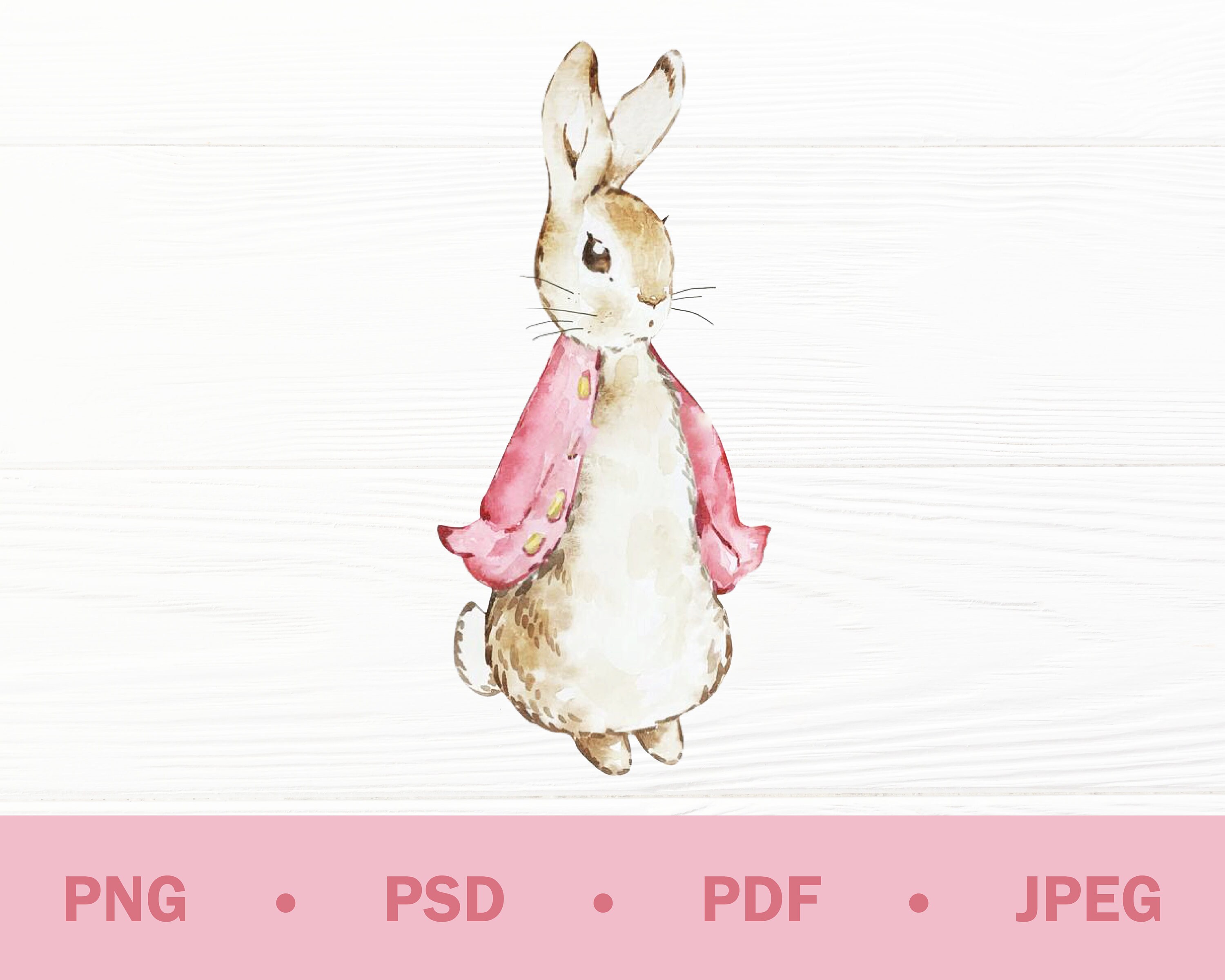 Flopsy Bunny With Transparent Background - Etsy UK