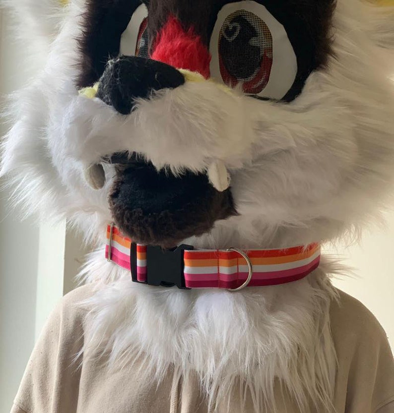 Pride Flags Fursuit Collar - Etsy UK