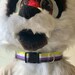 Pride Flags Fursuit Collar - Etsy