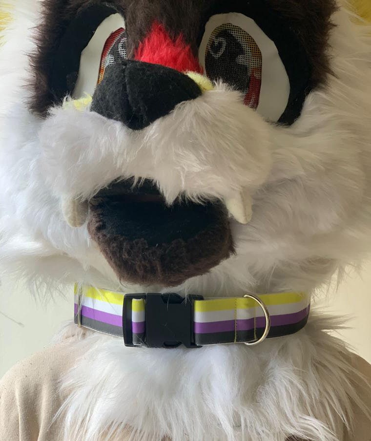 Pride Flags Fursuit Collar - Etsy Canada