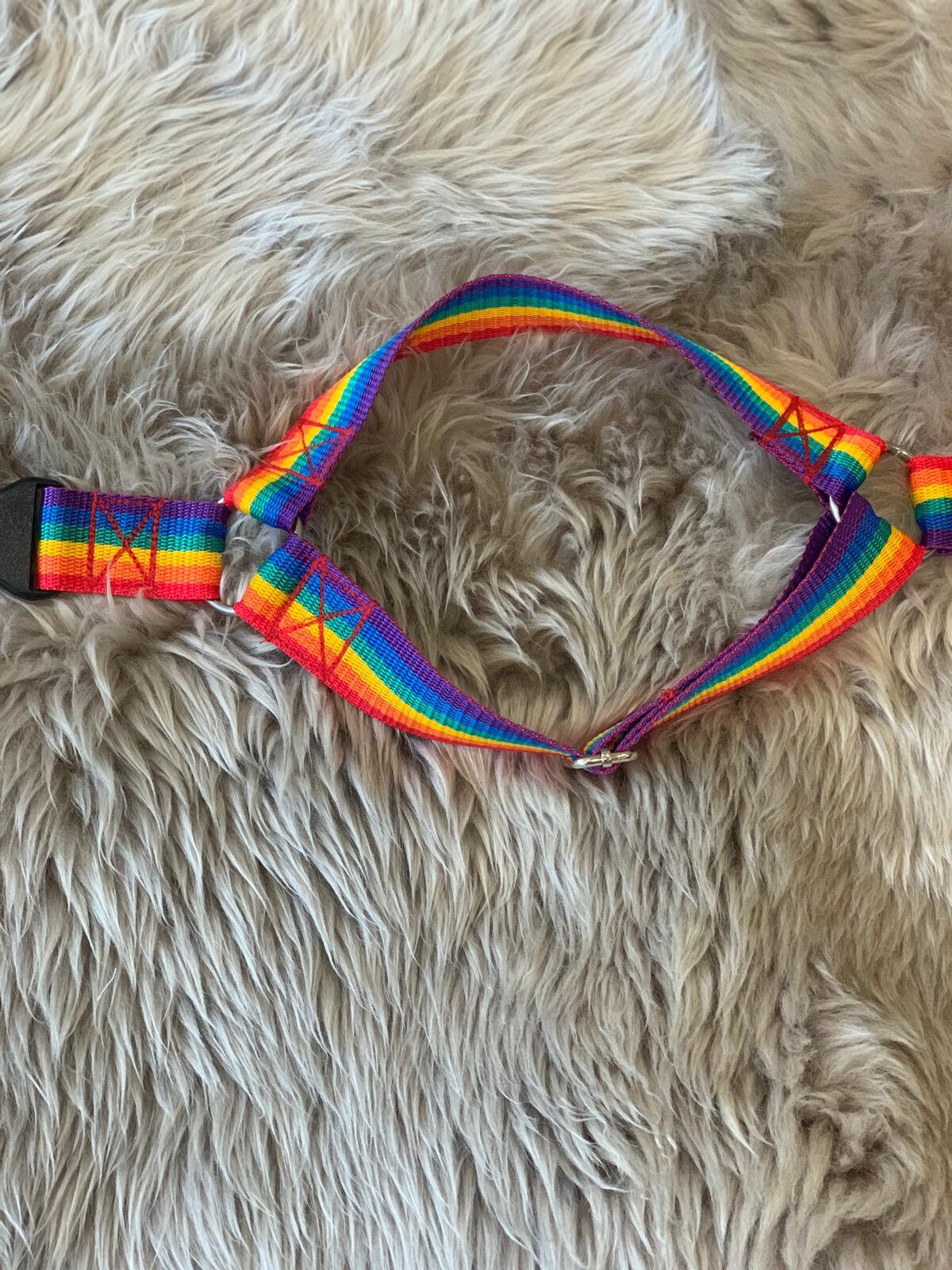 Pride Fursuit Muzzle | Etsy