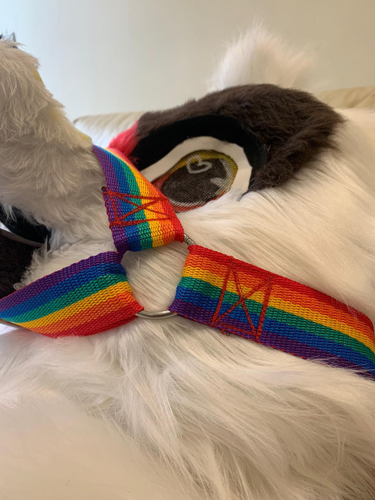 Pride Fursuit Muzzle | Etsy