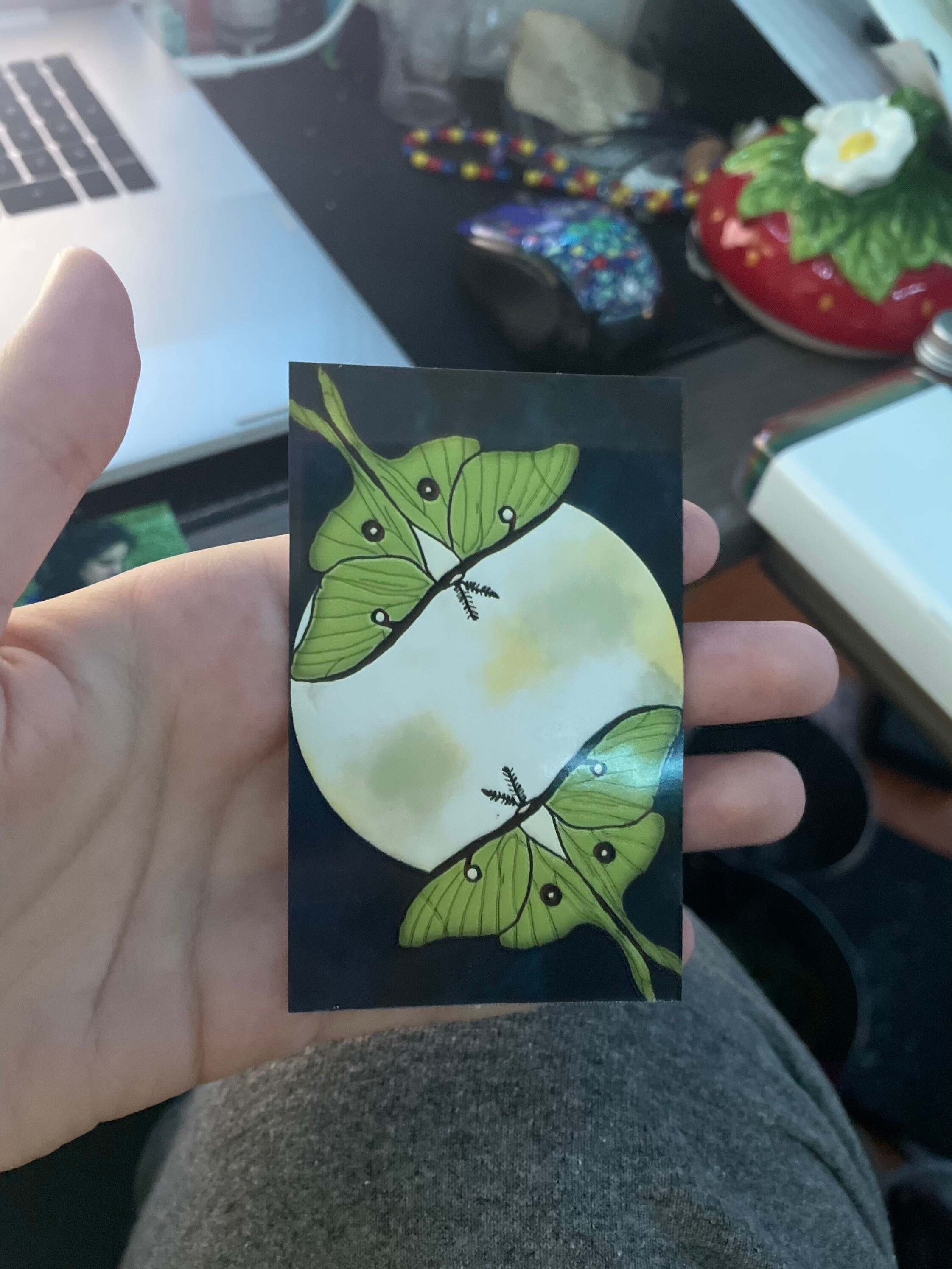 Dio Photo - Etsy