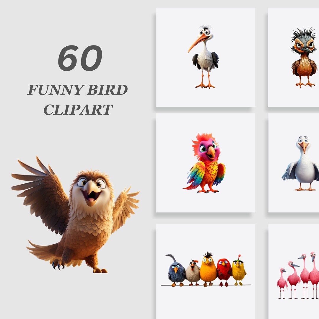 Funny Bird Clipart Bundle, Goofy Bird Clipart, Quirky Bird PNG, Cute ...