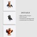 Funny Bird Clipart Bundle, Goofy Bird Clipart, Quirky Bird PNG, Cute ...