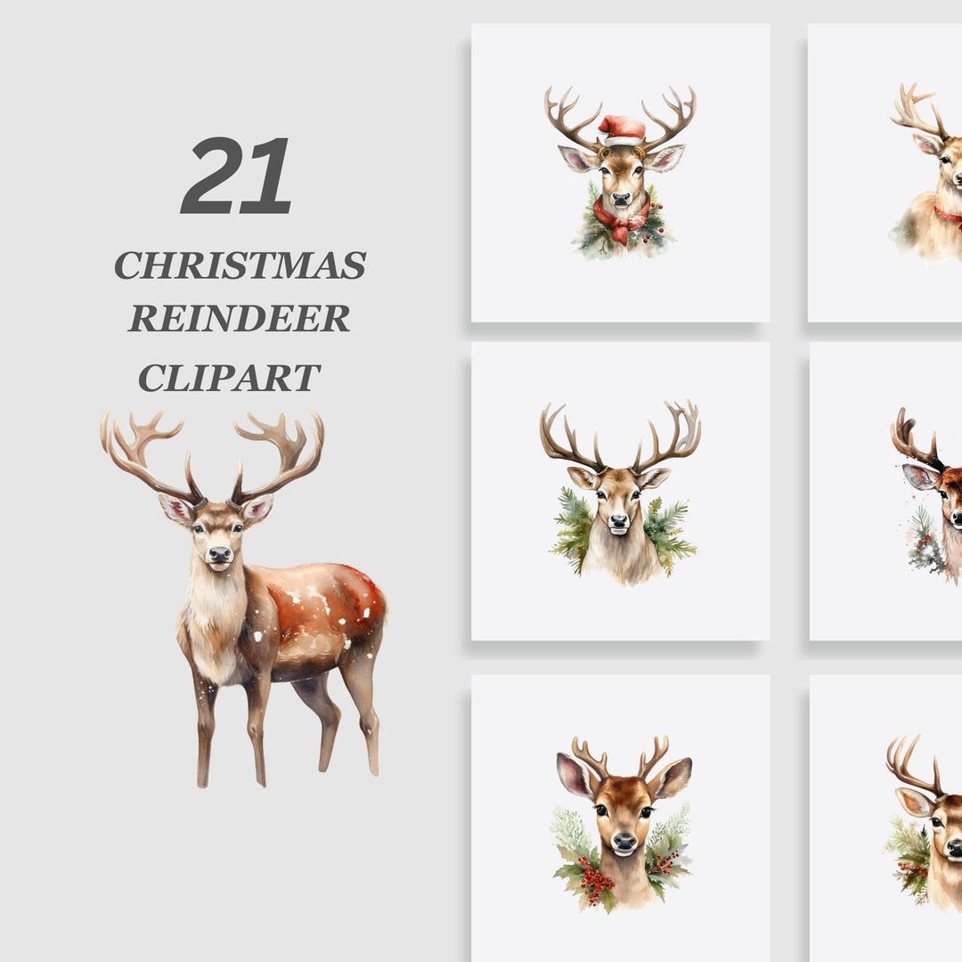 Reindeer Clipart Bundle, Christmas Reindeer Clipart, Winter Clipart PNG ...