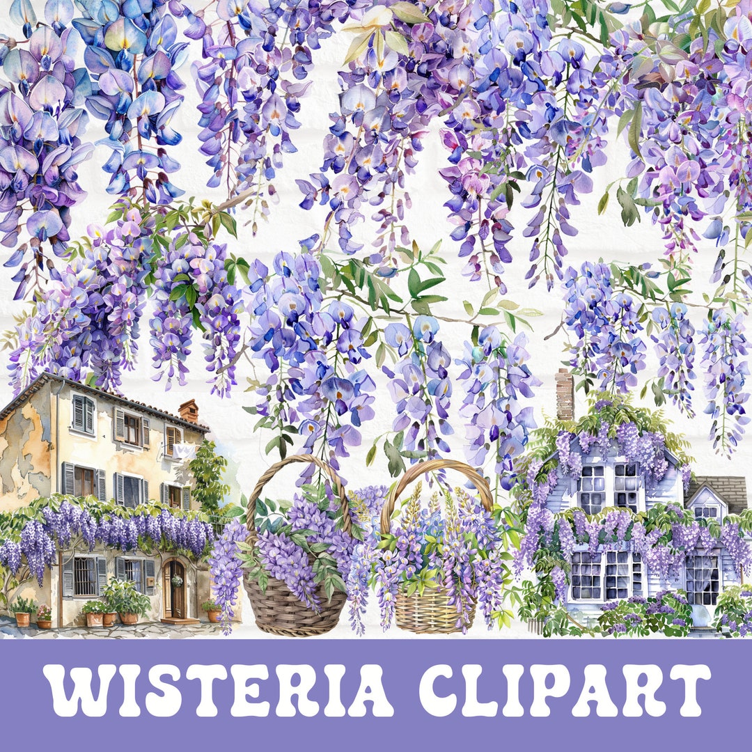 Wisteria Watercolor Clipart, Wisteria Frame Clipart, Wisteria Clipart ...