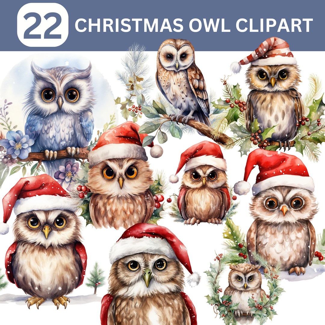 Christmas Baby Owl Clipart Bundle, Watercolor Winter Owl Clipart, Cute ...