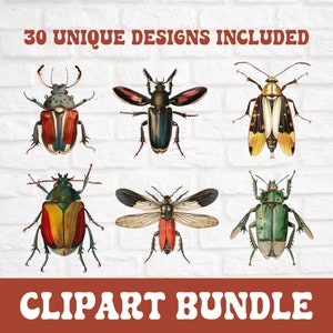 Vintage Bug Clipart, Insect Clipart Bundle, Ephemera Antique Insect ...