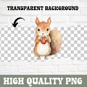 Woodland Animal Watercolor Clipart, Cute Forest Animal Clipart, Baby ...