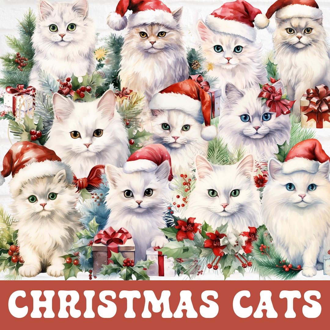Christmas Cat Clipart Bundle, Christmas Cat PNG, Cat Ornament PNG ...