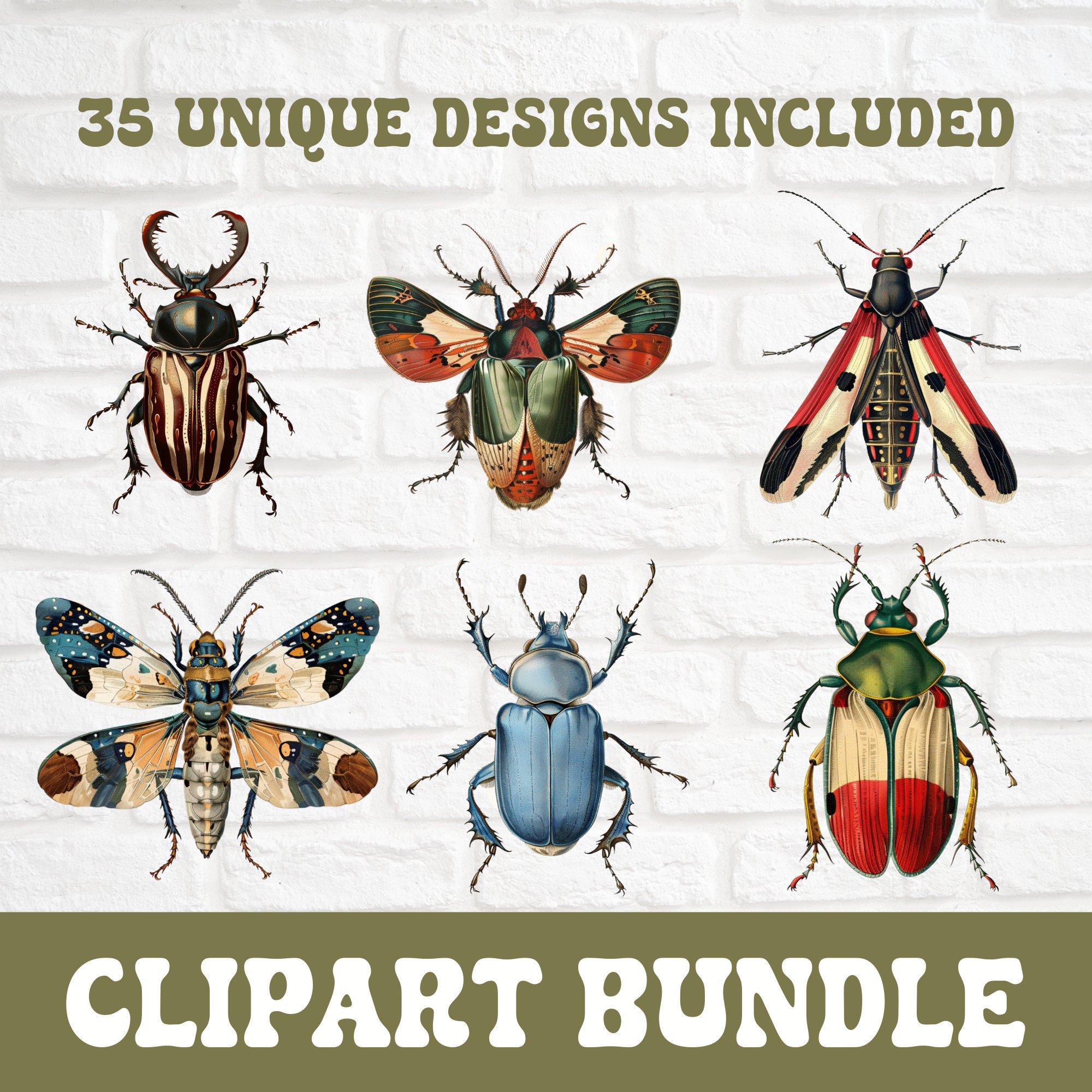 Vintage Insect Clipart, Bug Clipart Bundle, Antique Insect Clip Art ...
